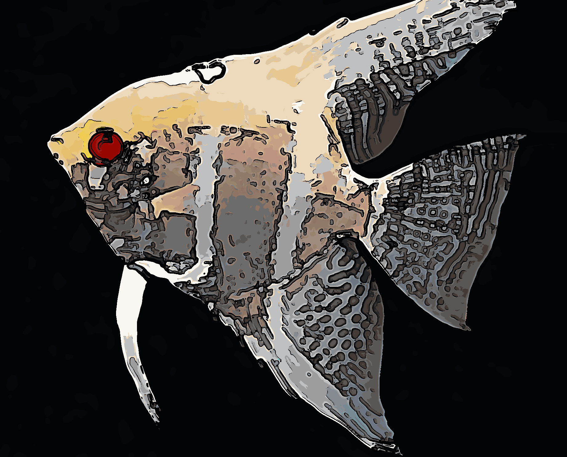 Albino Red Eye Angel Fish: Online Exclusive | BettR BettA